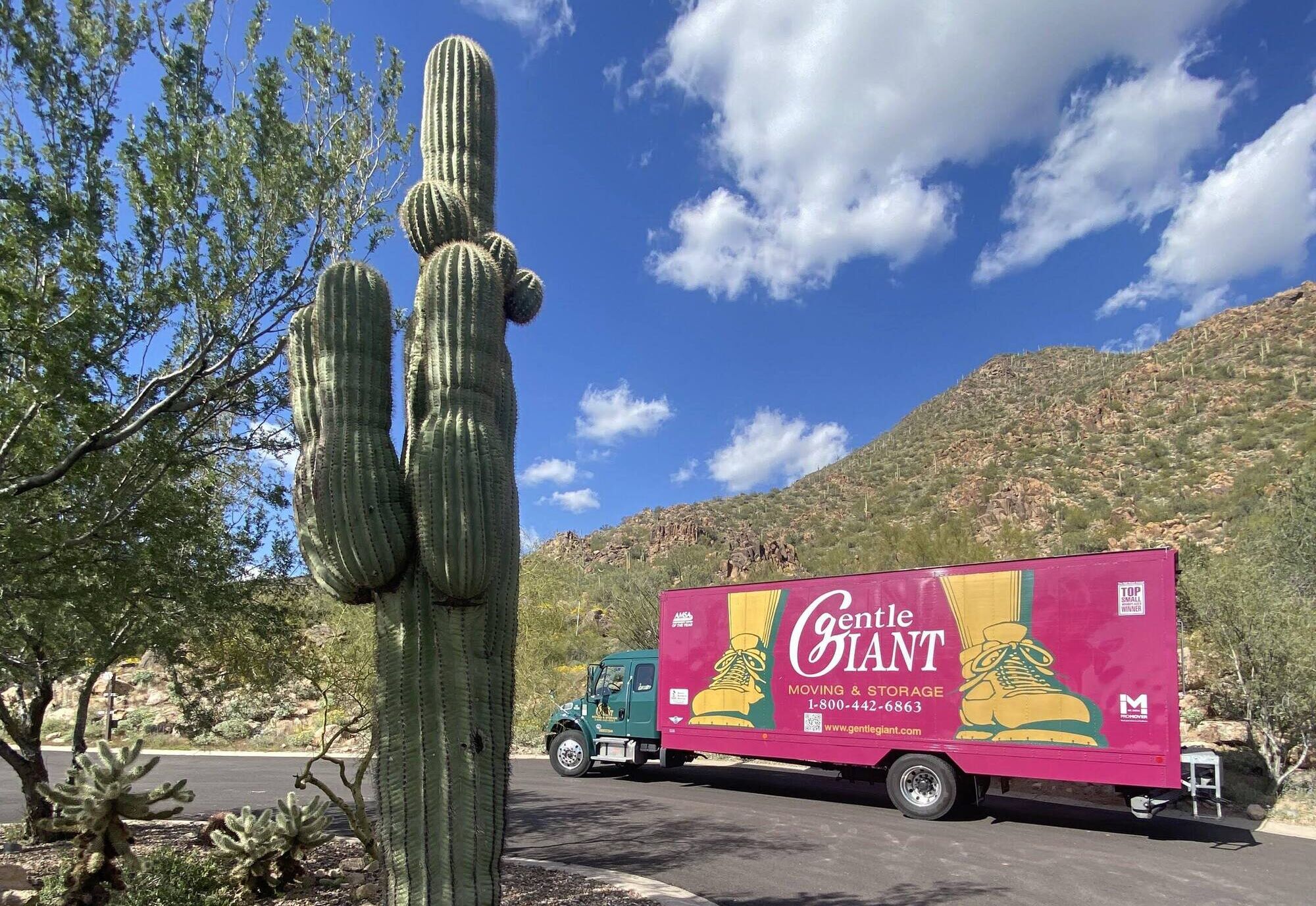 Moving to Phoenix: Managing a Desert Climate | Gentle Giant