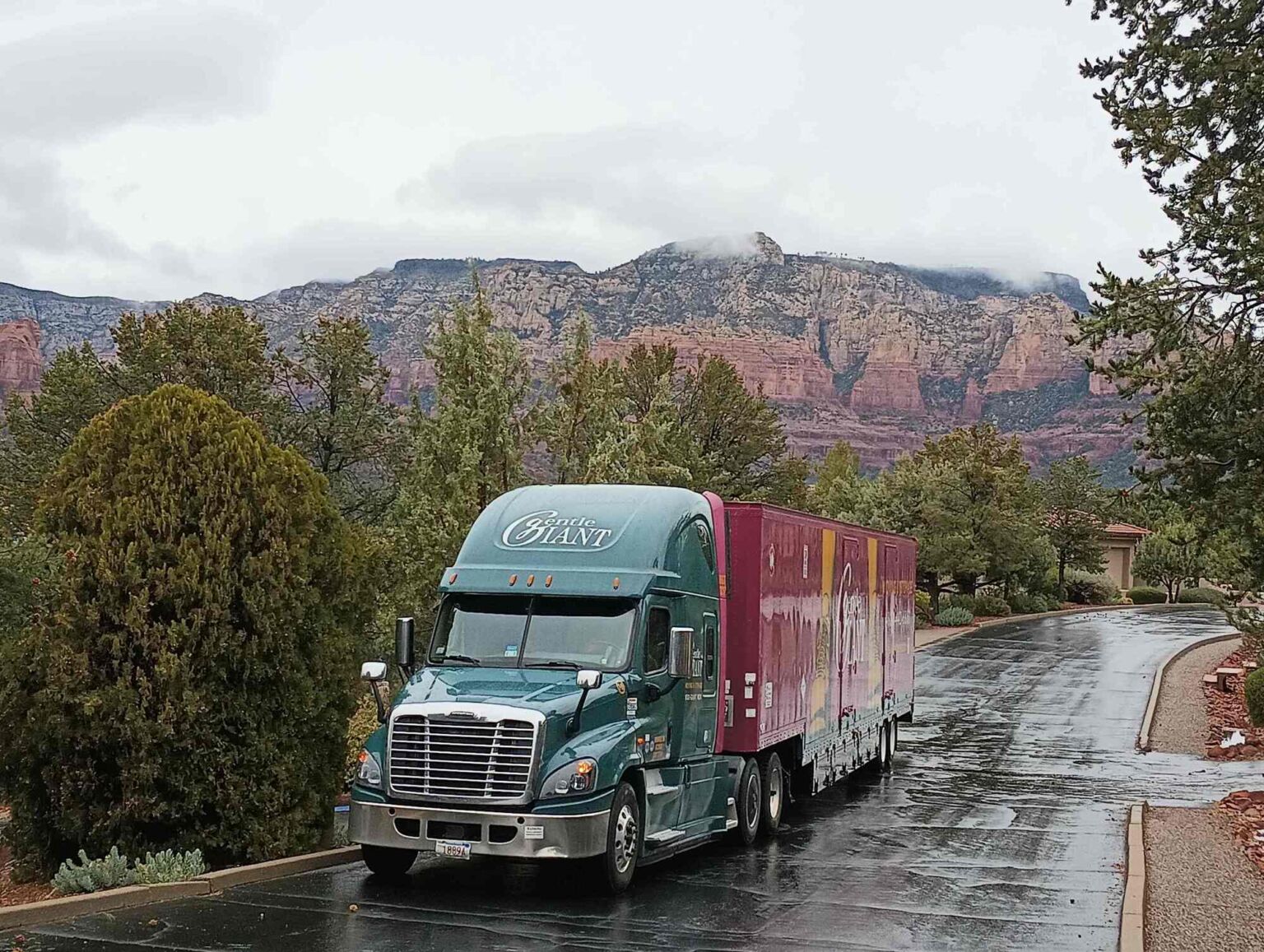 Fun Road Trips from Phoenix, Arizona | Gentle Giant